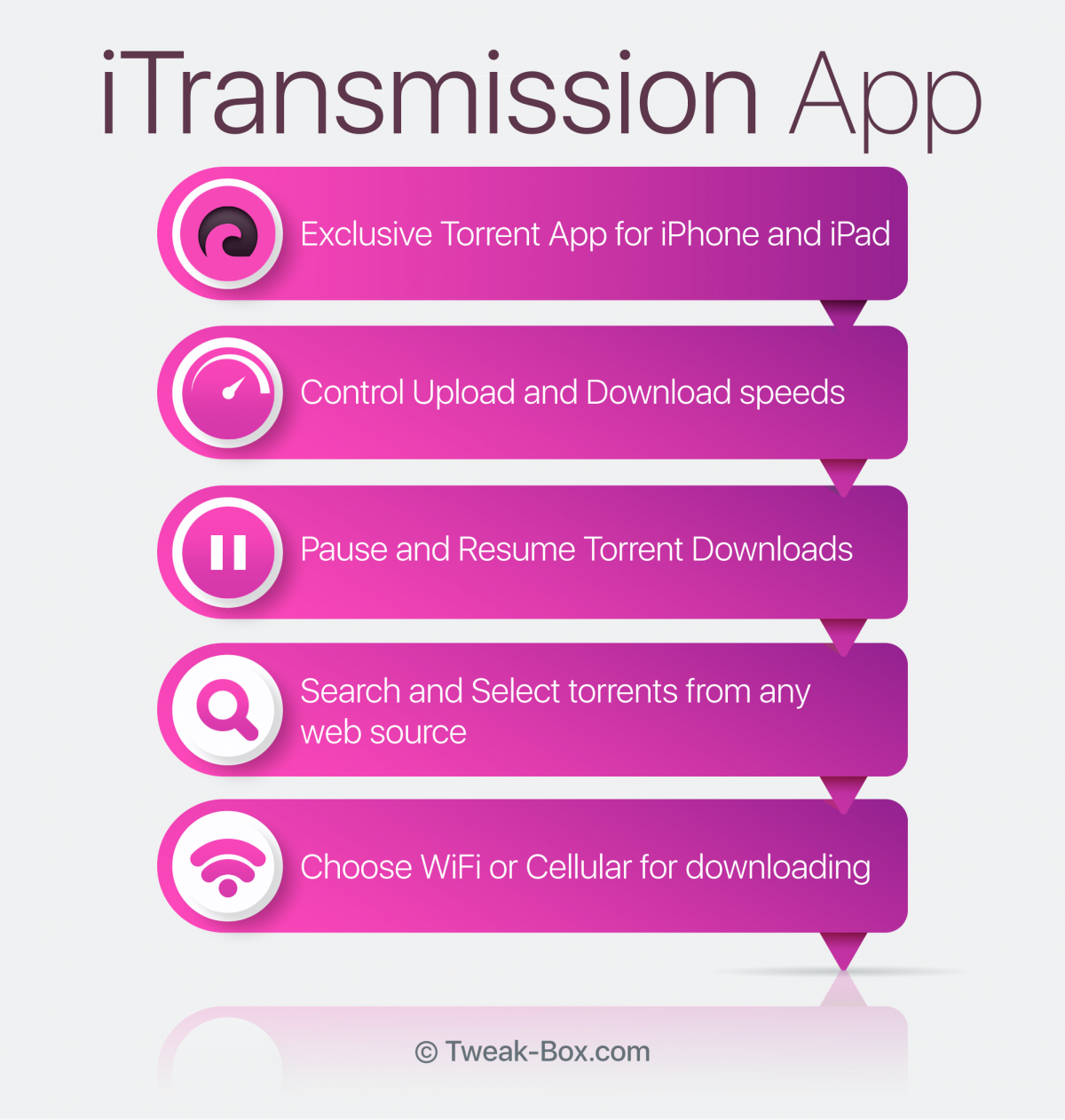 iTransmission ( Download ) iPhone Torrent Client